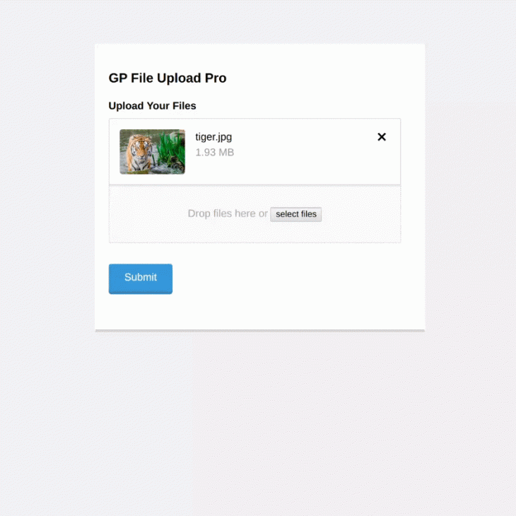 افزونه آپلود پیشرفته فایل پرمیوم در گرویتی فرمز | Gravity Perks File Upload Pro | سمندون